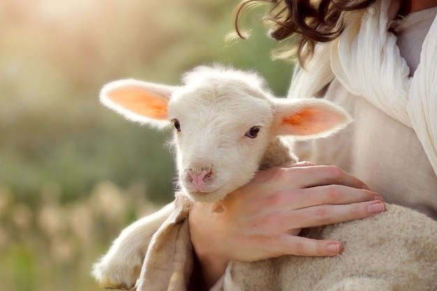 Jesus, the Good Shepherd | Bayard Philippines